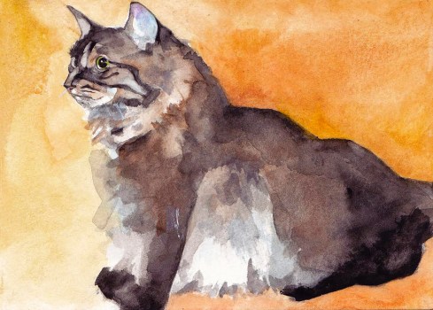 The Art of Devon Lawrence